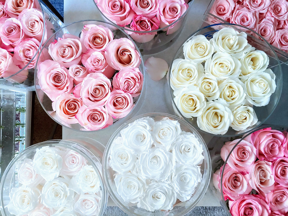 Roses in a Box and the Meaning of their Color – Privé Roses